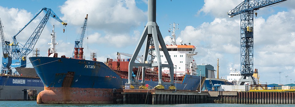 Network - EcoPorts | ESPO